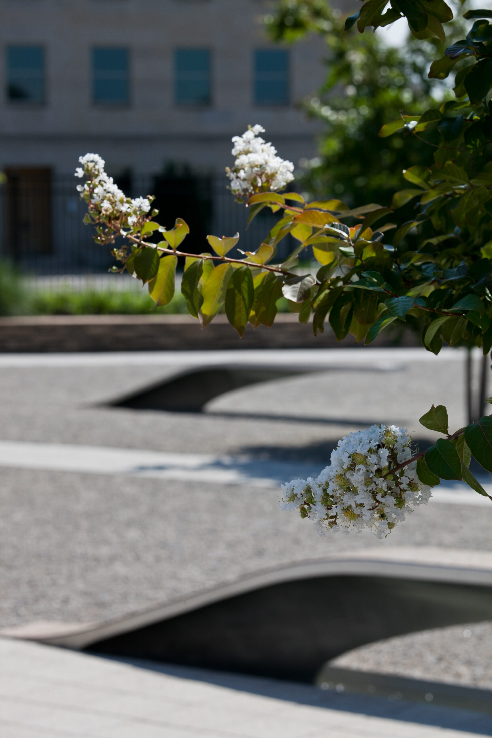 Home - 9/11 Pentagon Memorial